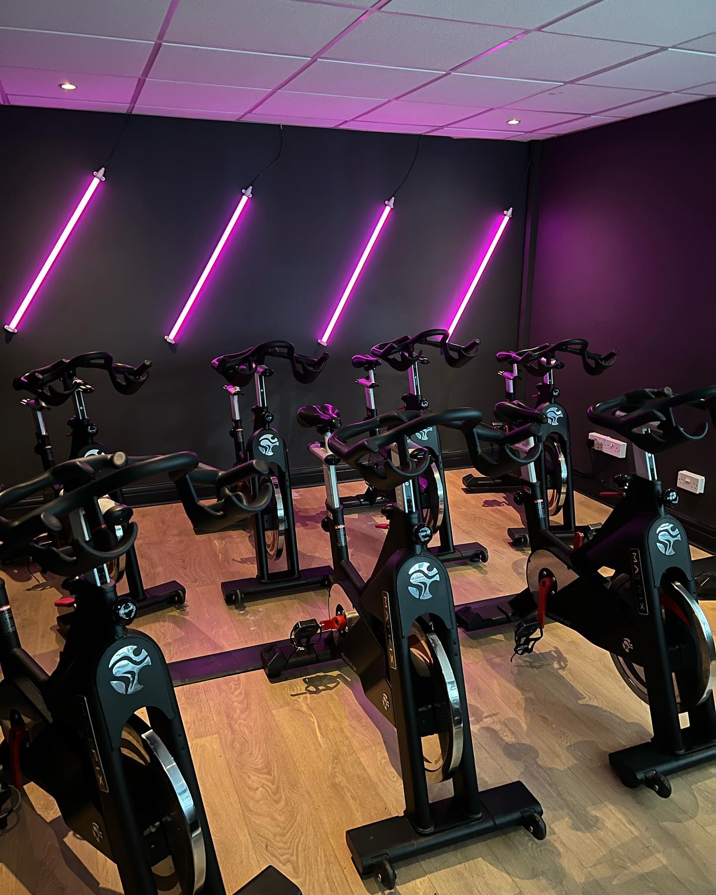 Feel Good Health Club Gallery - Mercure Maidstone Great Danes